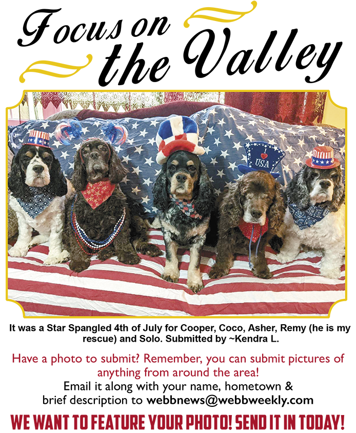 Webb Weekly Online – A Family-Oriented Publication