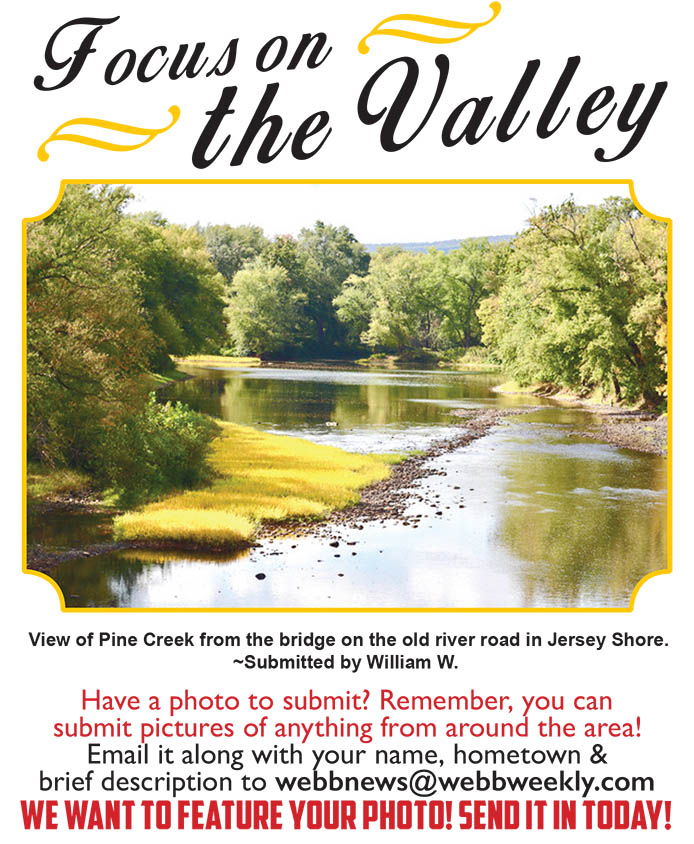 Webb Weekly Online – A Family-Oriented Publication