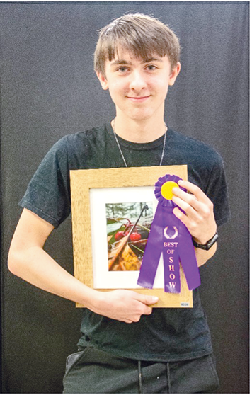 Homeschool Art Show & Contest – Webb Weekly Online