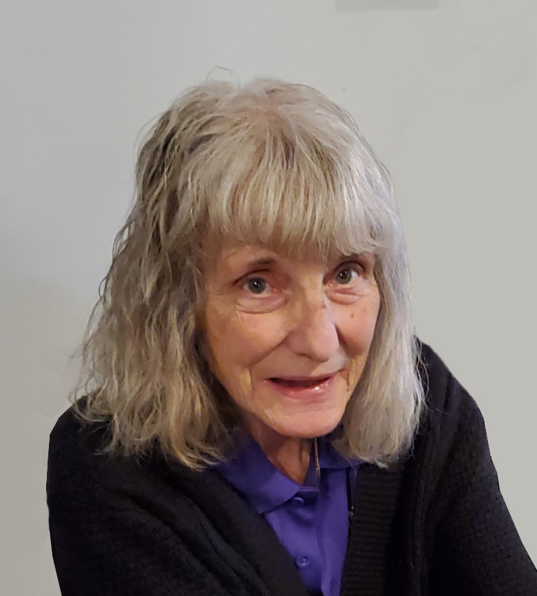 Diane M. DeTato, 71 – Webb Weekly Online